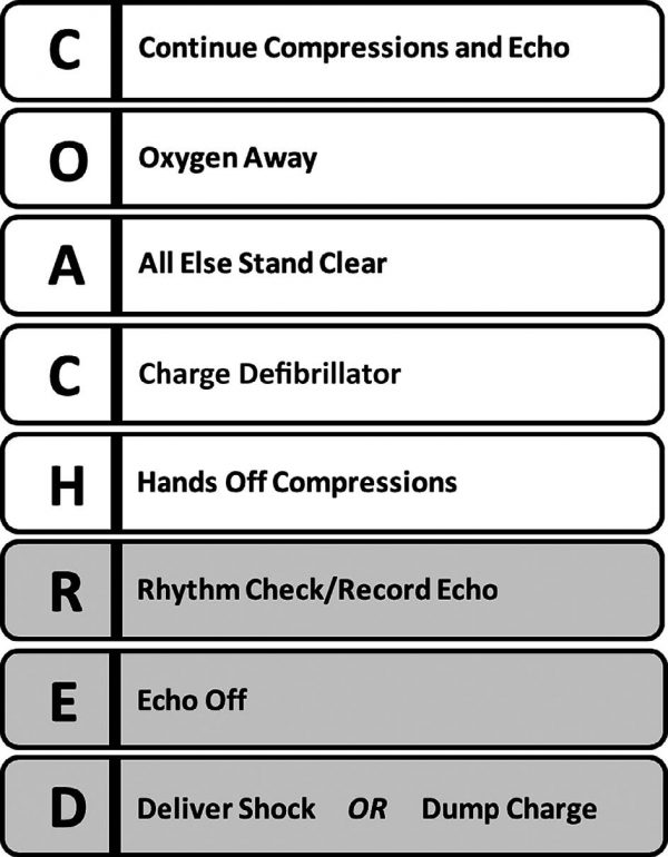 Echocardiography during cardiac arrest: COACHRED - Critical Care Sonography