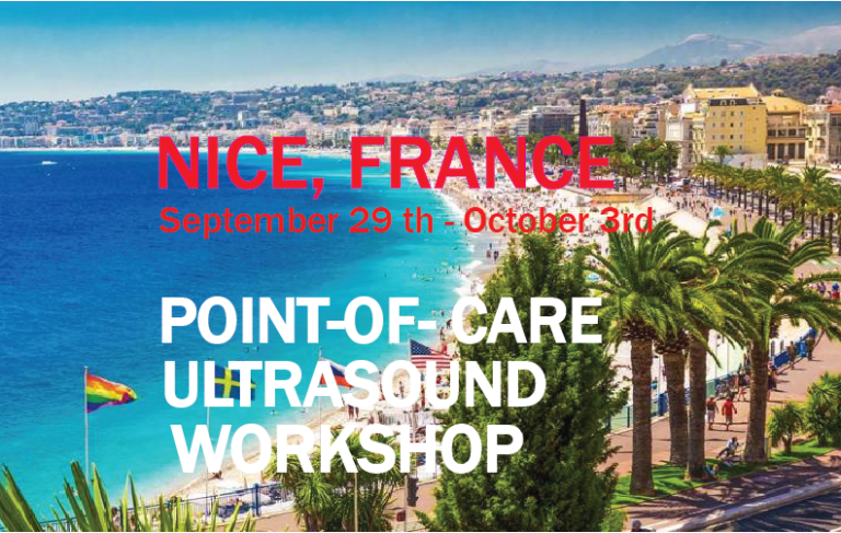 POCUS Workshop NICE FRANCE - Critical Care Sonography
