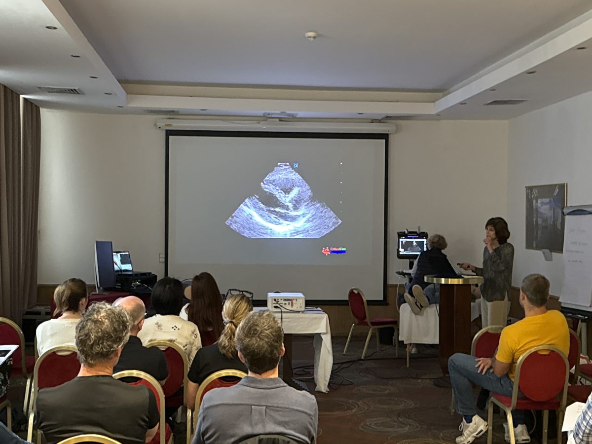 ECHO Masterclass - Nice, France - Critical Care Sonography