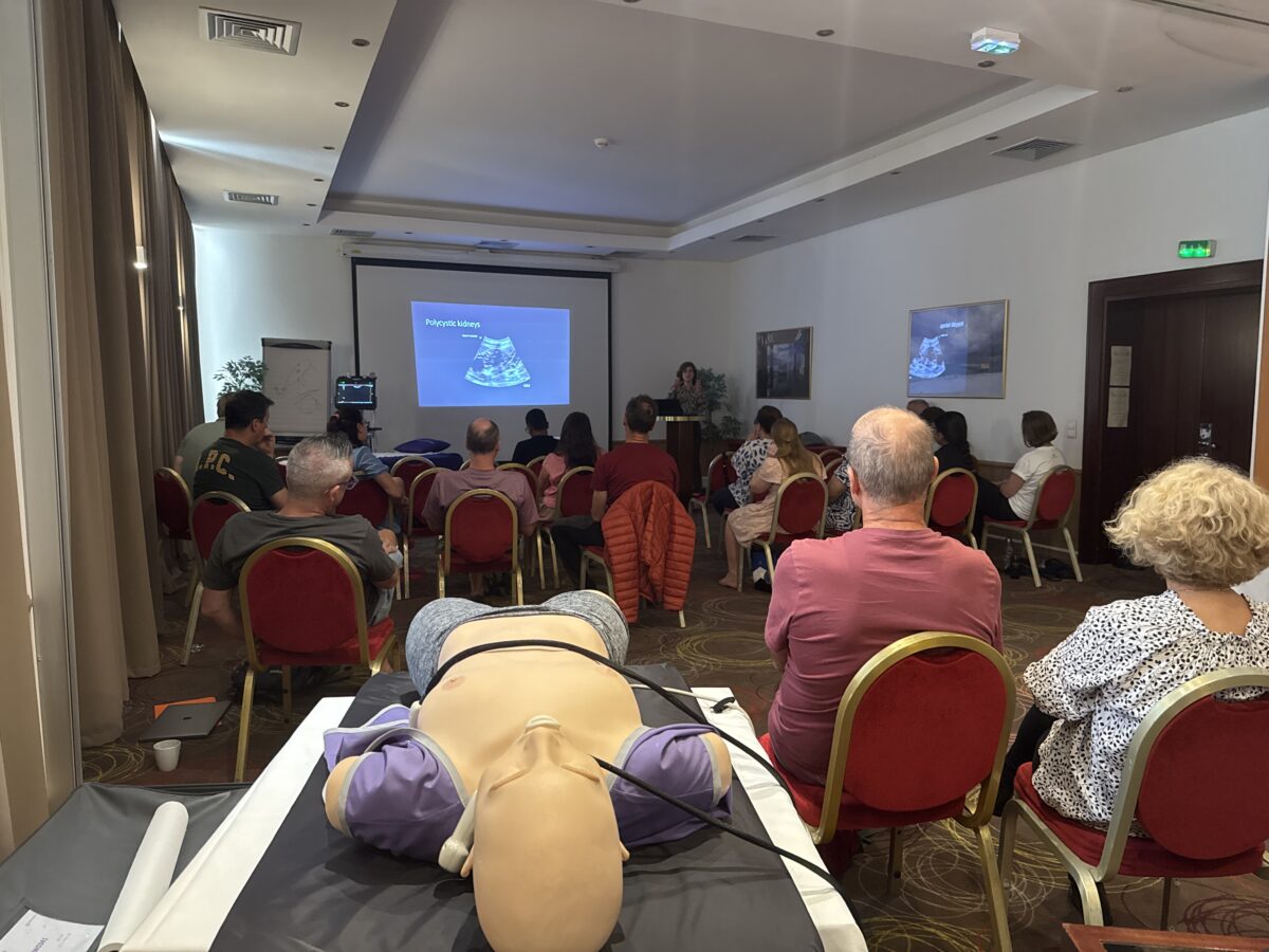POCUS Workshop Nice France - Critical Care Sonography