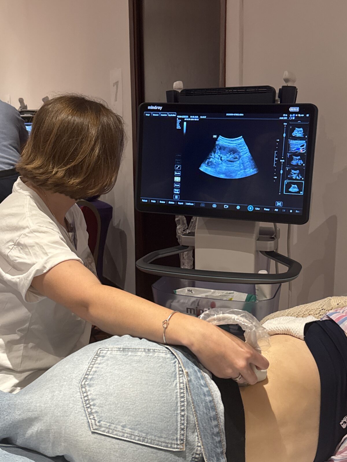 POCUS Workshop - Nice, France - Critical Care Sonography