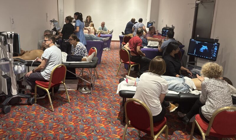 POCUS Workshop - Nice, France - Critical Care Sonography