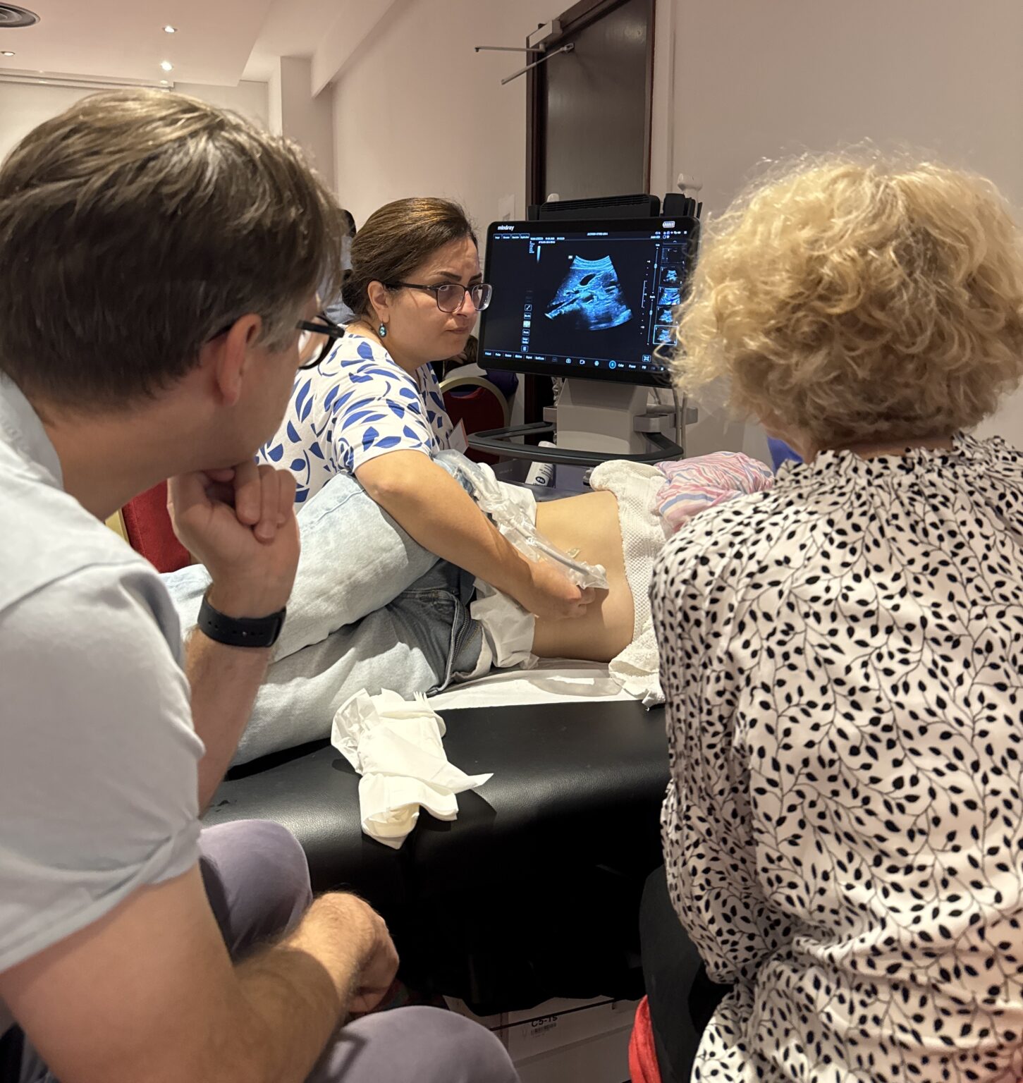 POCUS Workshop - Nice, France - Critical Care Sonography