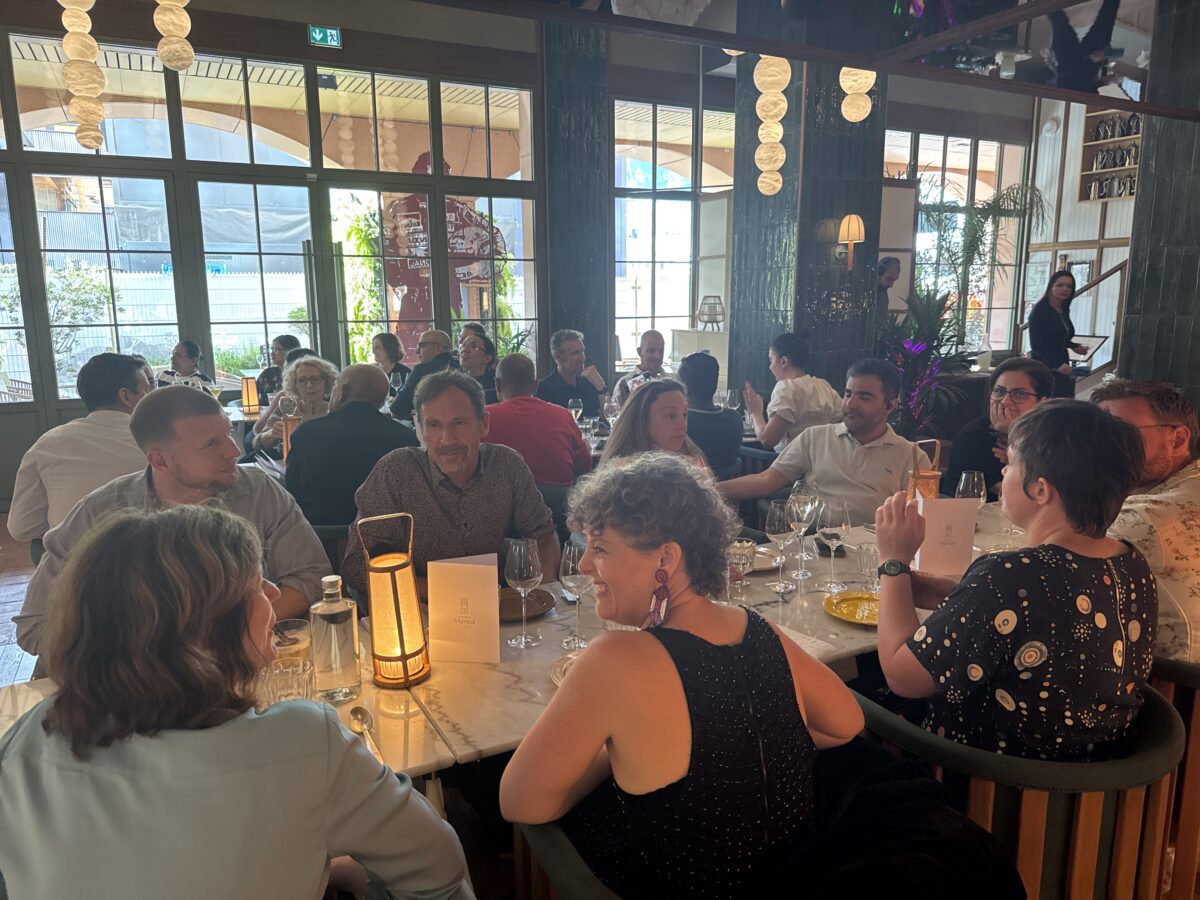 POCUS Workshop Nice France - Critical Care Sonography